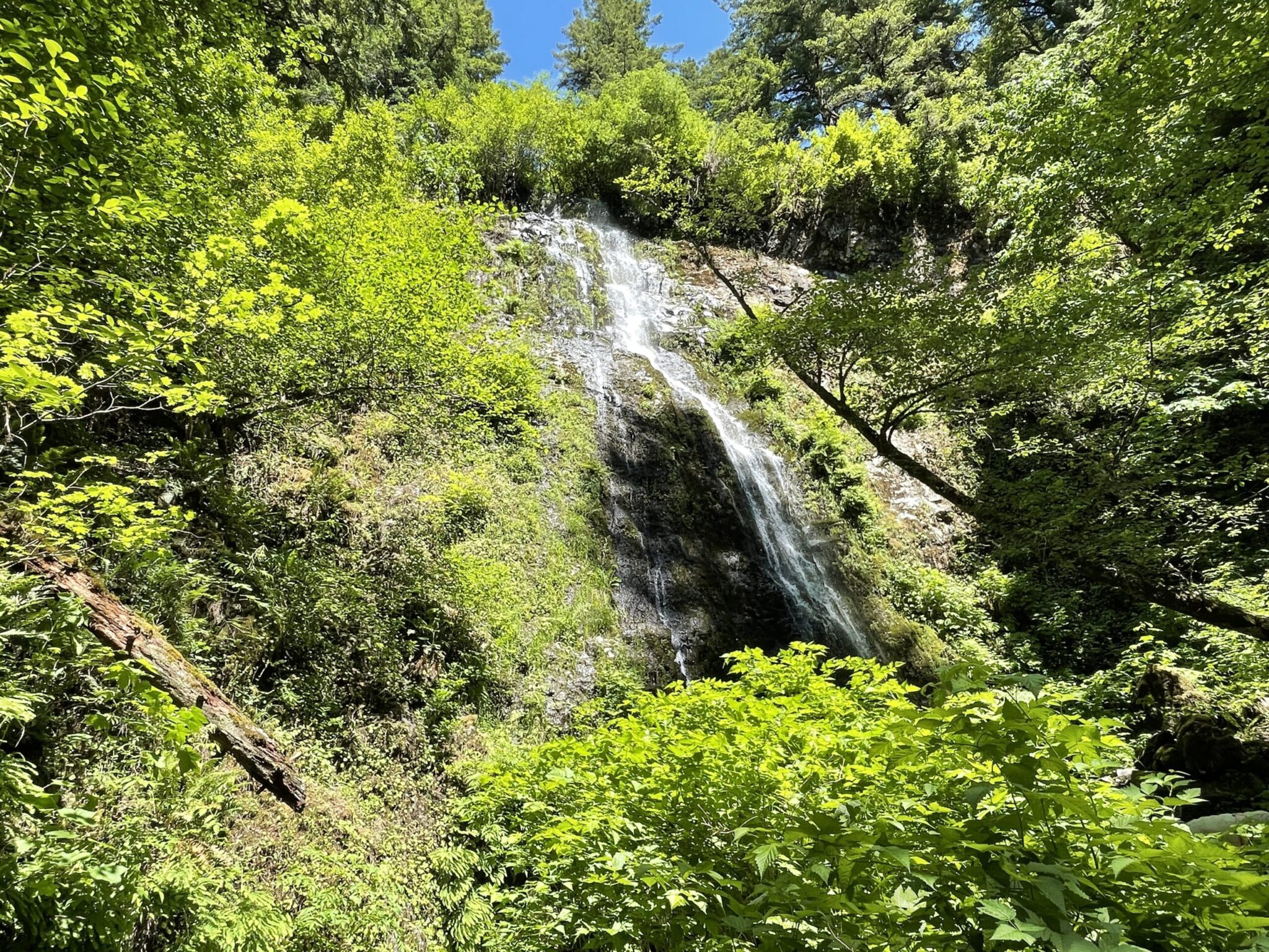 Oregon's Niagara Falls and Waterfall Wednesday in Oregon