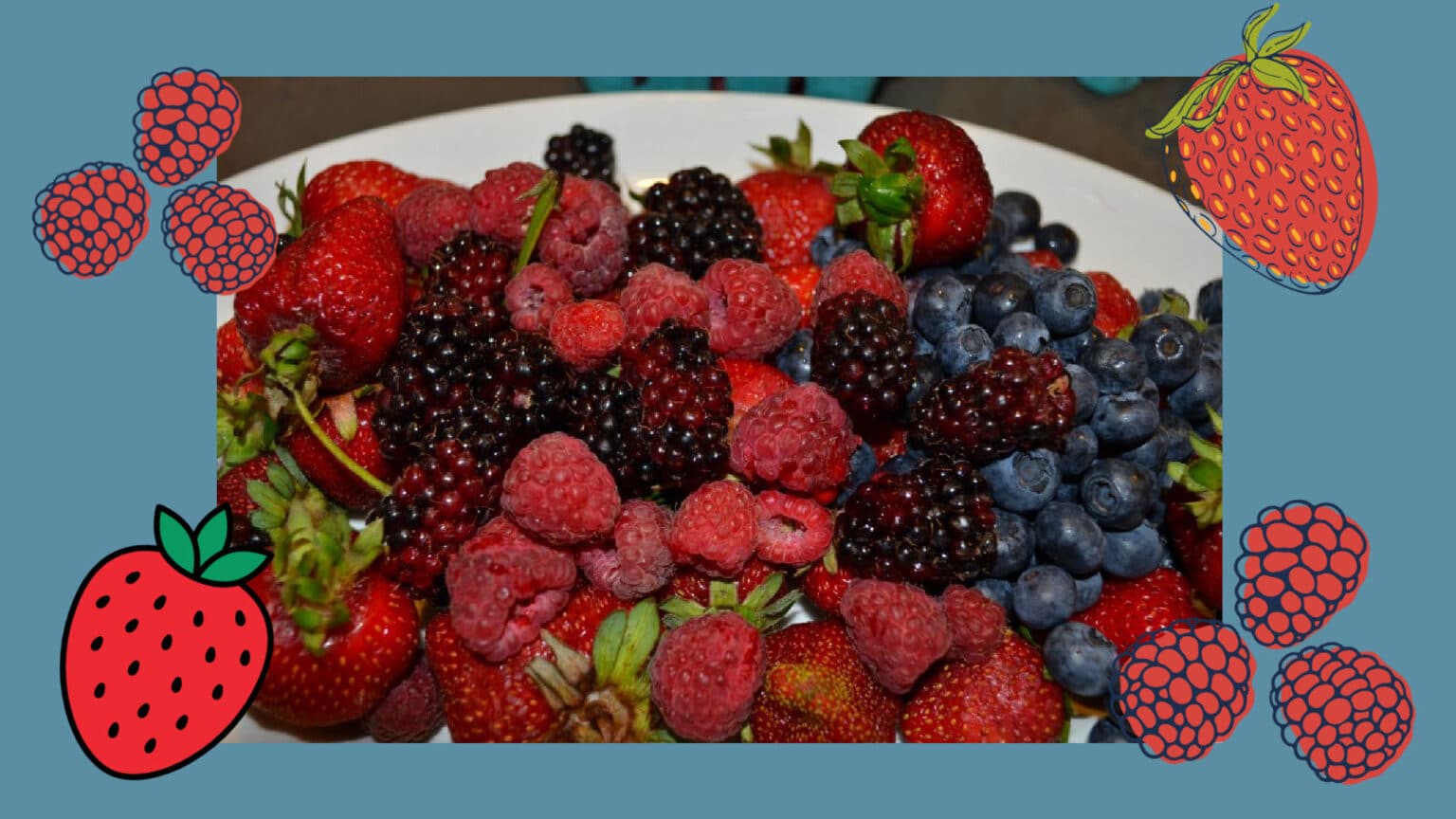 Read Our Blog for Information on Oregon Travel Lodging & Attractions