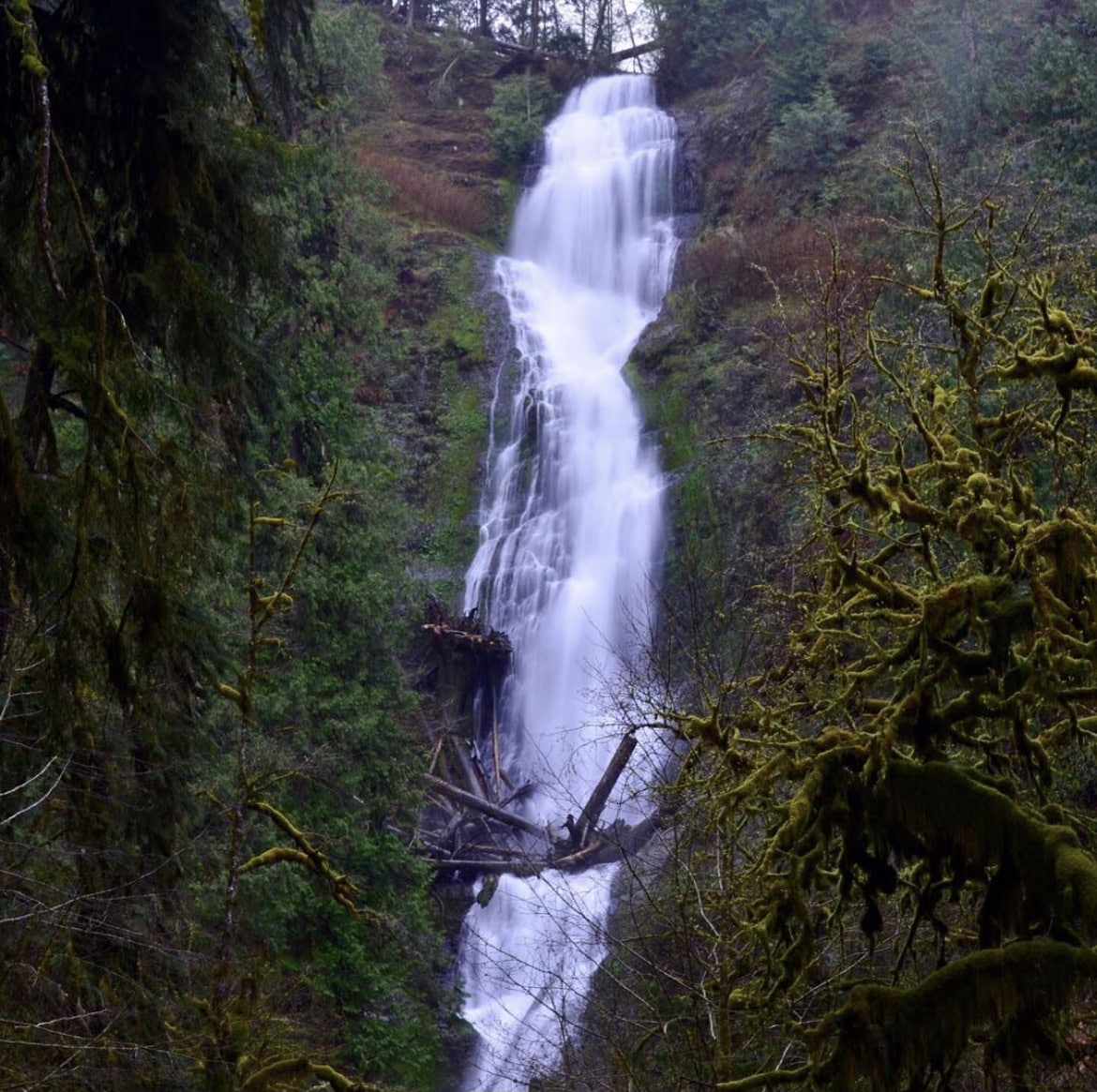 Munson Creek Falls #28 on the Trail of Waterfalls Map