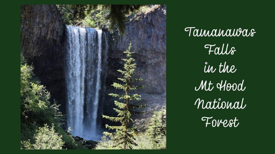 Tamanawas Falls in the Mt Hood National ForestOregon Bed & Breakfast Guild