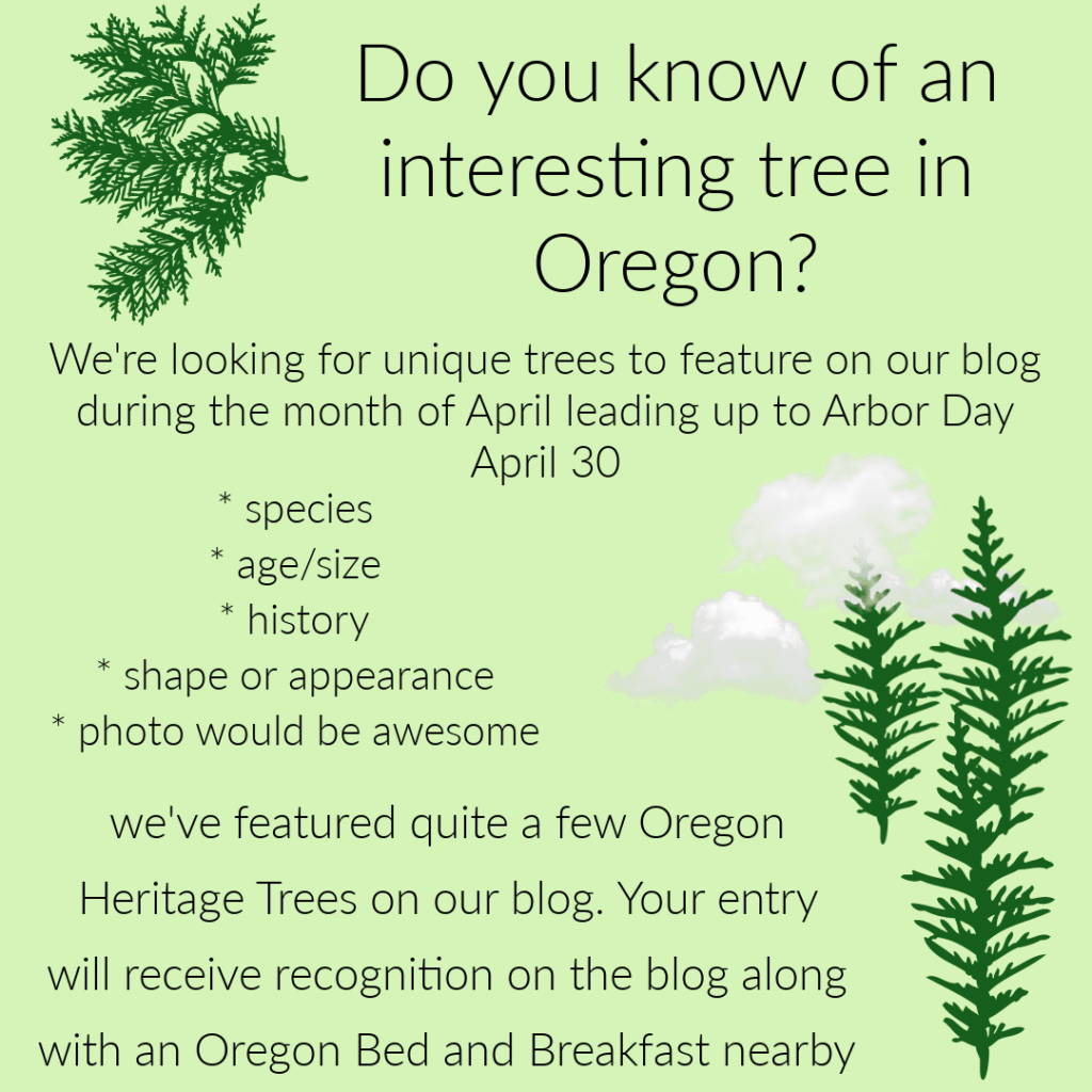 Celebrate Oregon’s Magnificent Trees – Trees that Tell an Historic Story