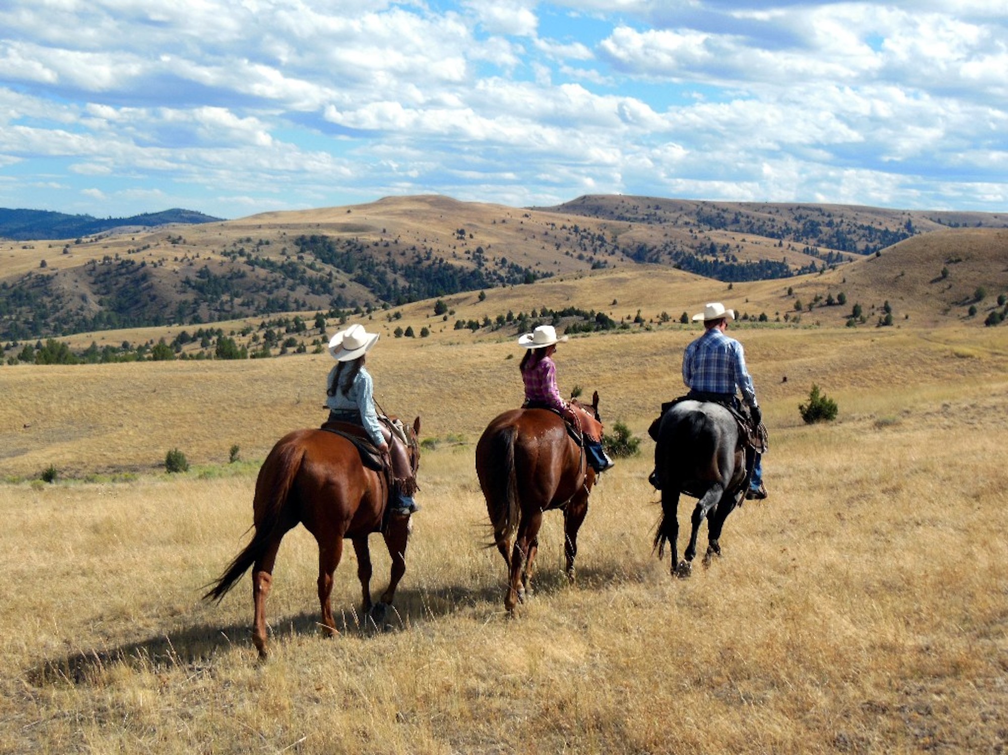 Fossil, Oregon - A John Day Territory Destination